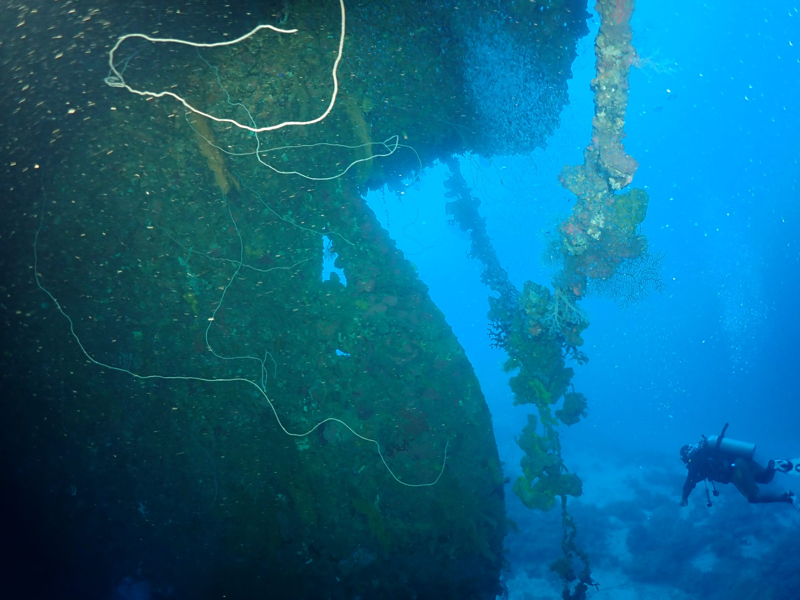 Le HOKI MARU – Récits de voyages moto et plongée