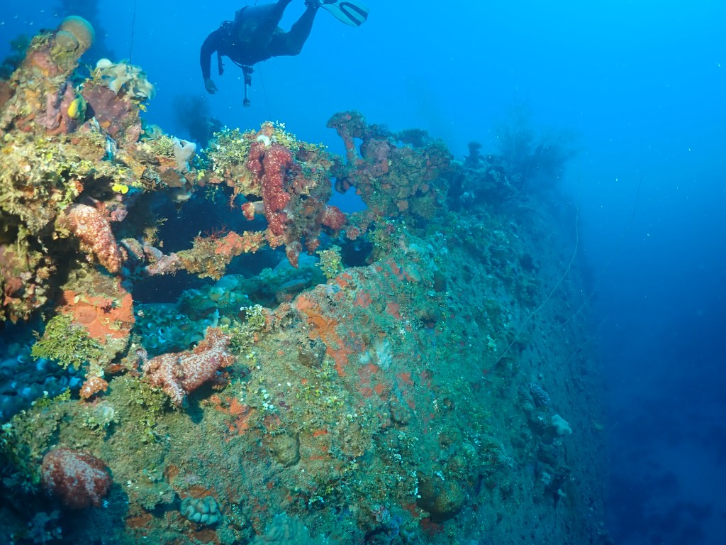 Le HOKI MARU – Récits de voyages moto et plongée